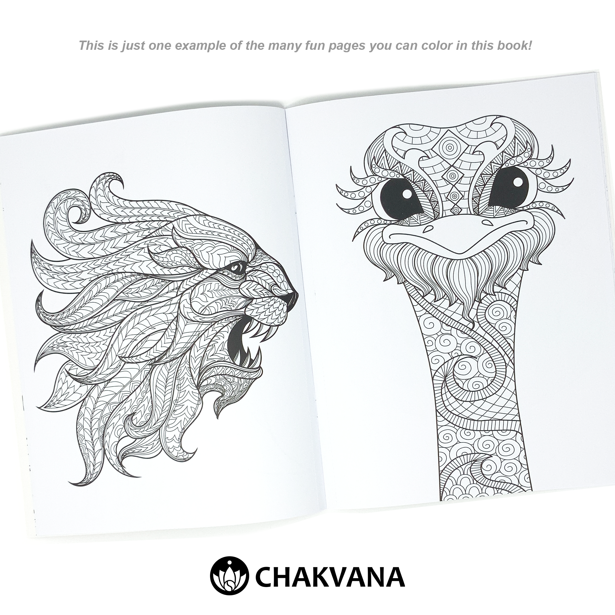 mammals coloring book